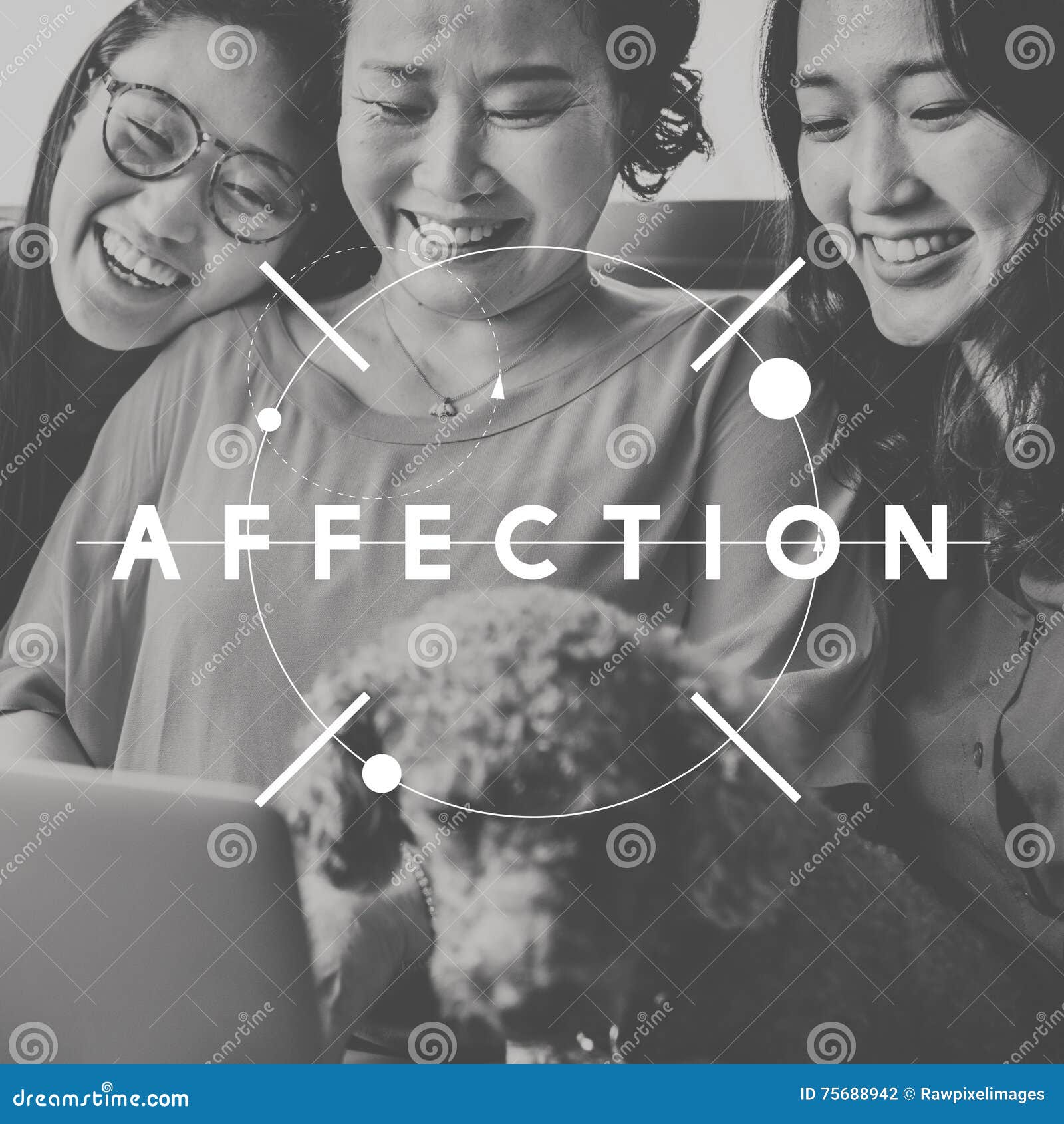 Affection Adore Emotion Like Love Passion Concept Stock Photo - Image ...