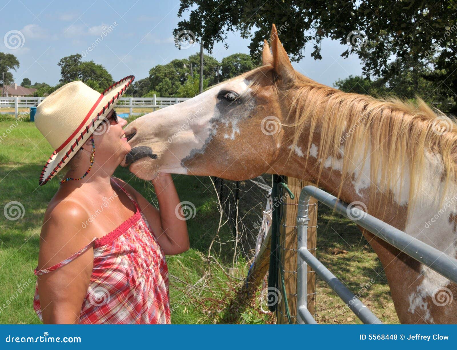 Affectionate Horse and Lady Rancher Stock Photo - Image of emotions ...