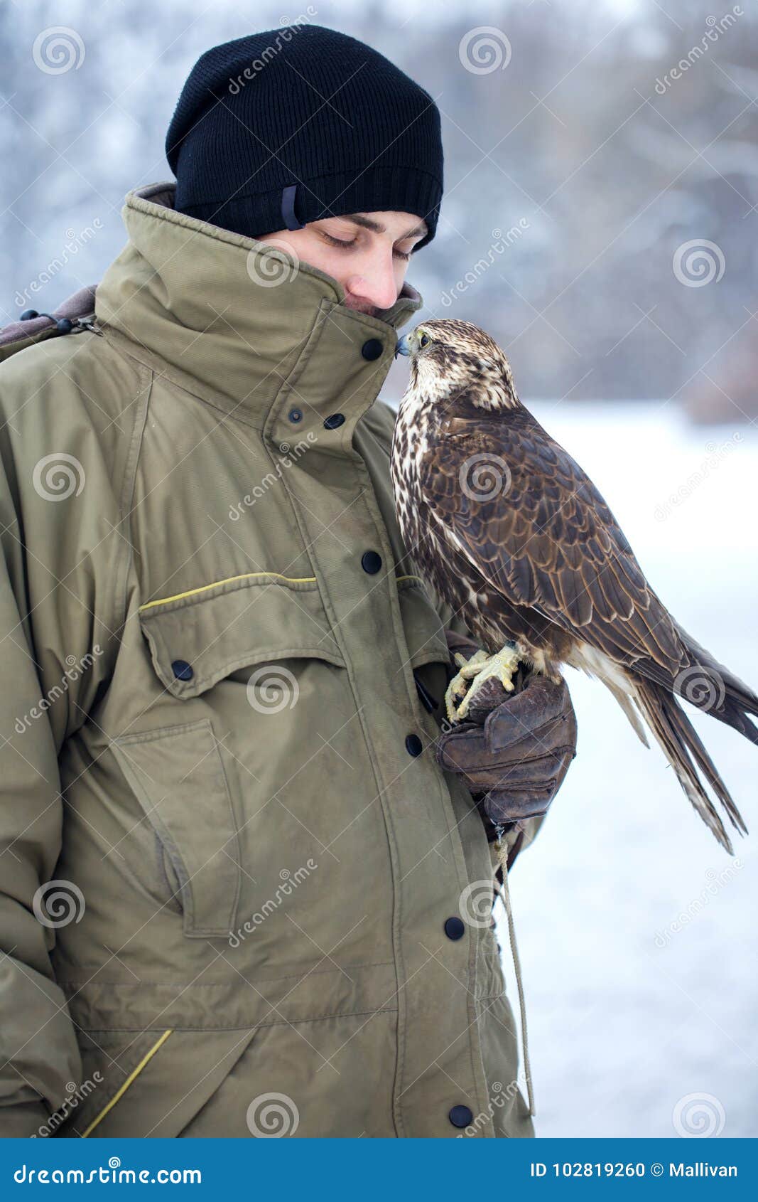 Affectionate Relationship with the Pet Stock Photo - Image of dark ...