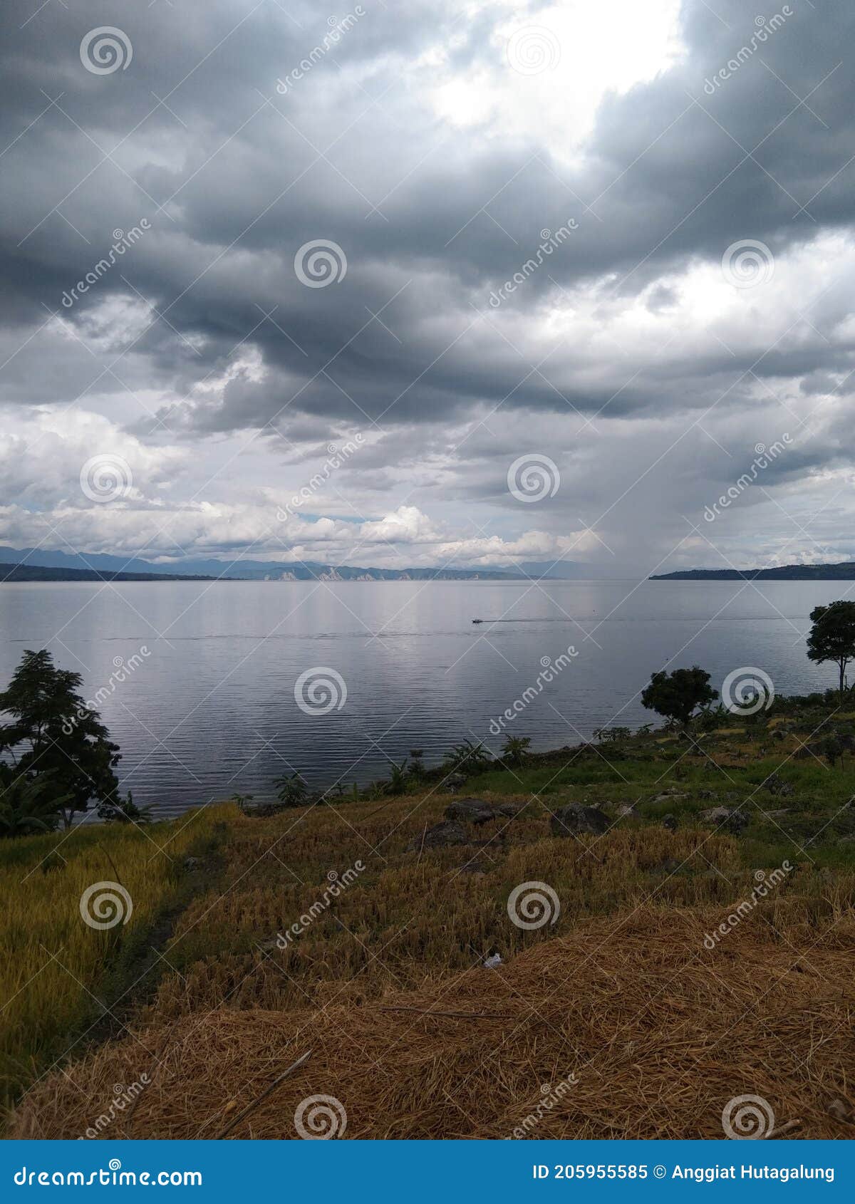 Affichage de tara bunga image stock. Image du fleuve - 205955585