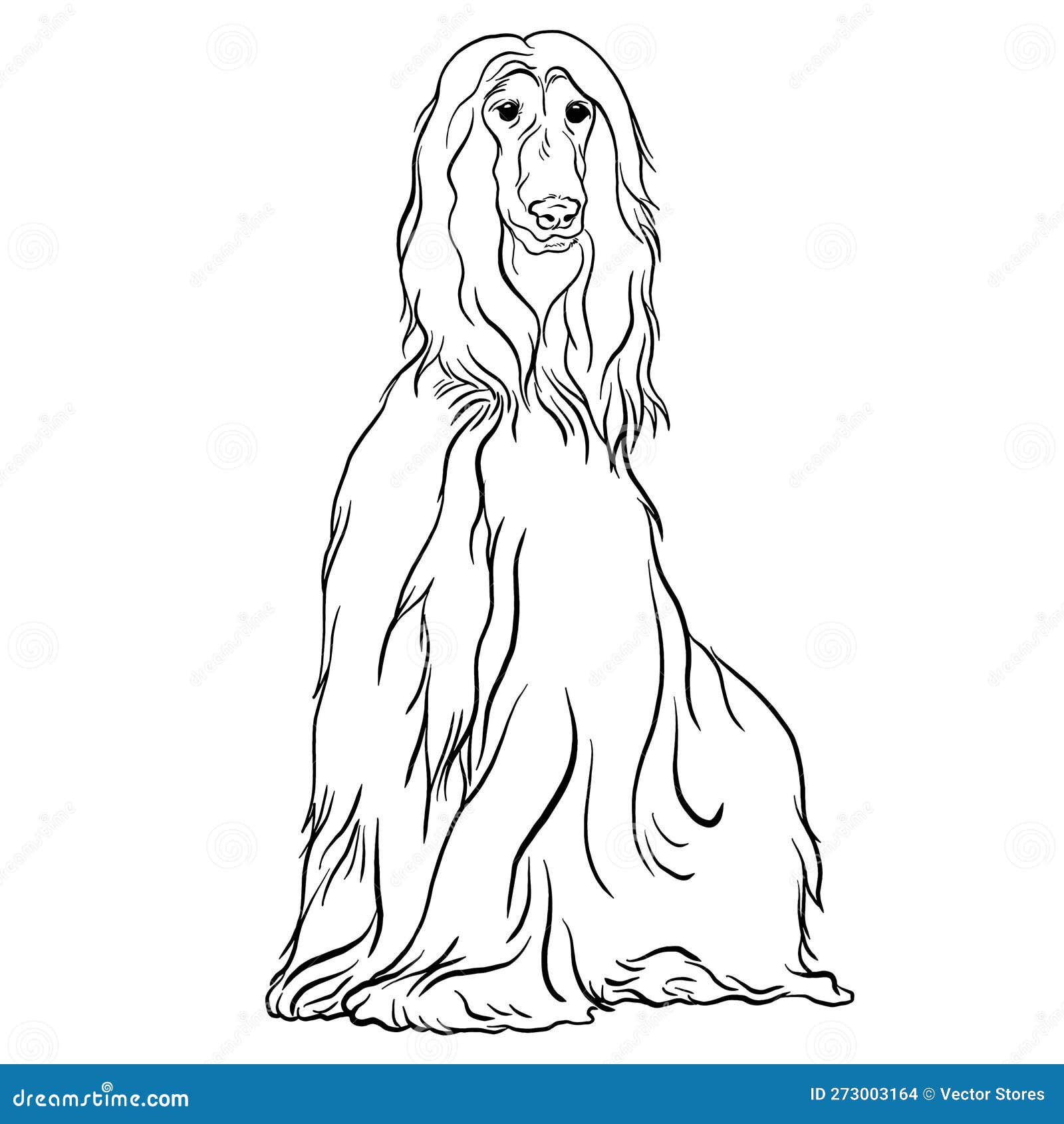 Afghan Hound Dog Breed Doodle Style Line Drawing Vector Black And White ...