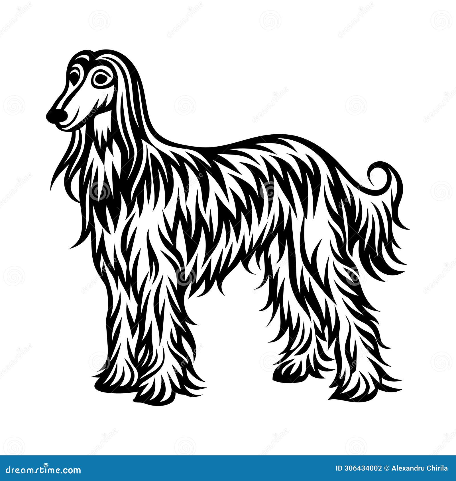 Afghan Hound Graphic Vector EPS Stock Illustration - Illustration of ...