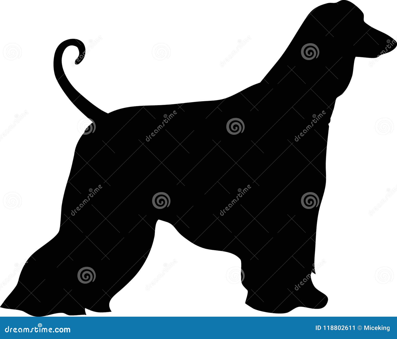 Afghan Hound Silhouette Black Stock Vector - Illustration of hound ...