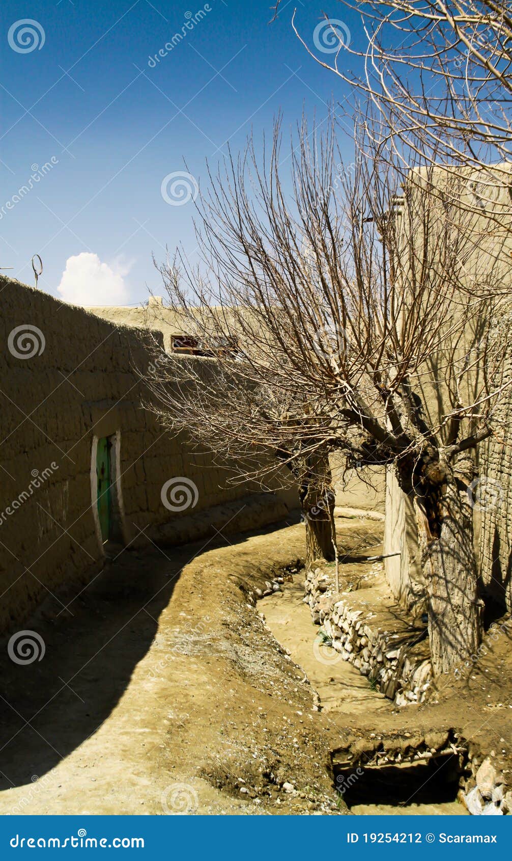 Afghan village stock photo. Image of street, tree, village - 19254212
