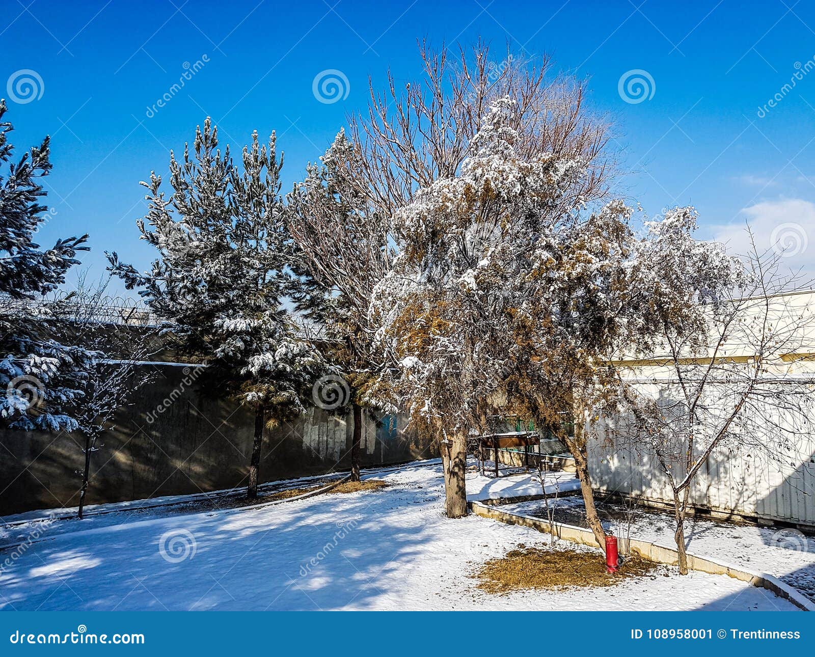 Afghanistan during winter stock image. Image of supplies - 108958001