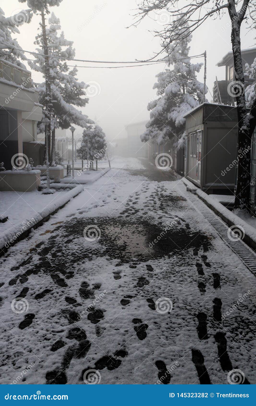 Afghanistan during winter stock photo. Image of trees - 145323282