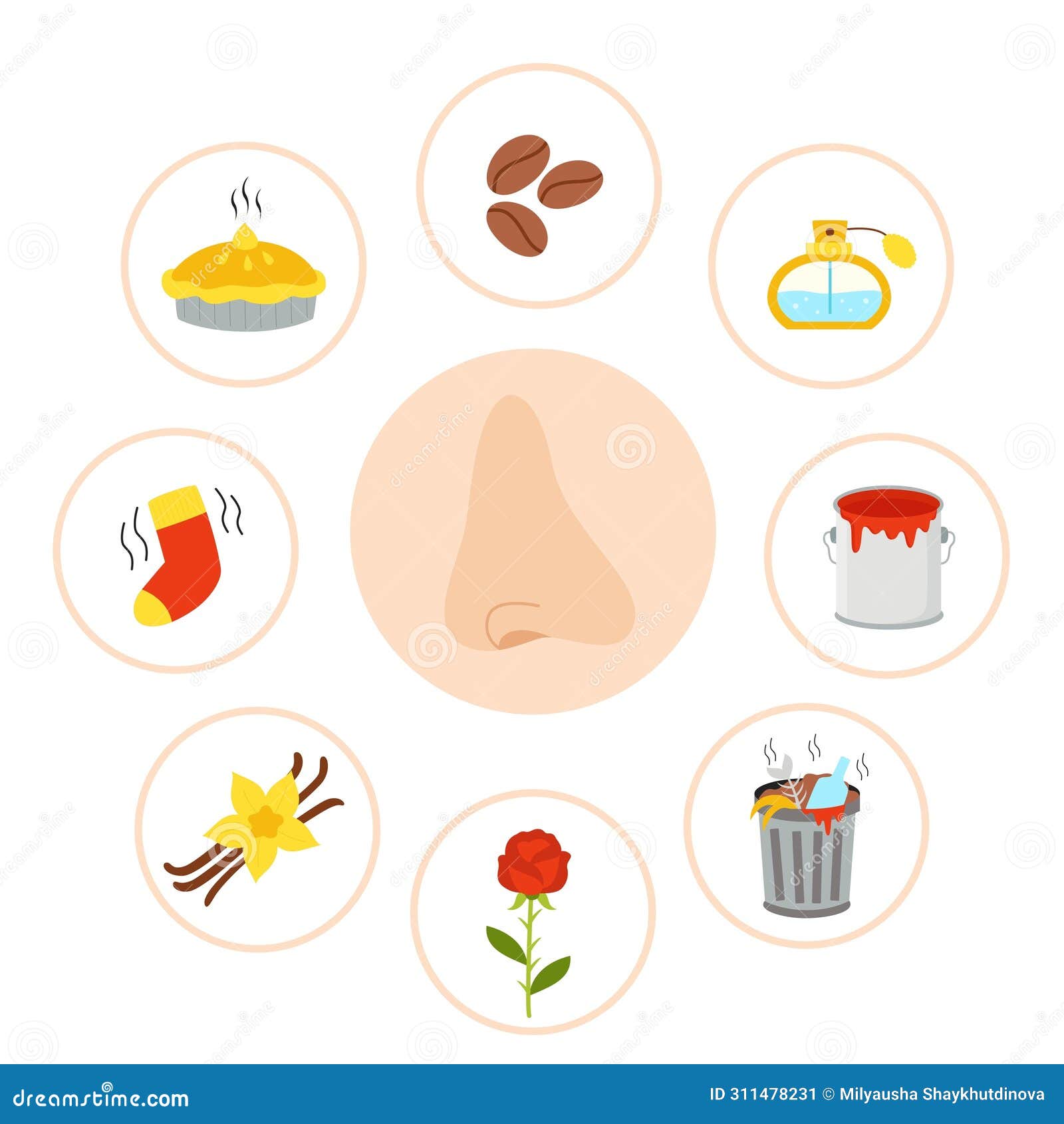 Afiche De órganos De Sentido. Ilustración Vectorial. Sentido Del Olfato. Stock de ilustración ...