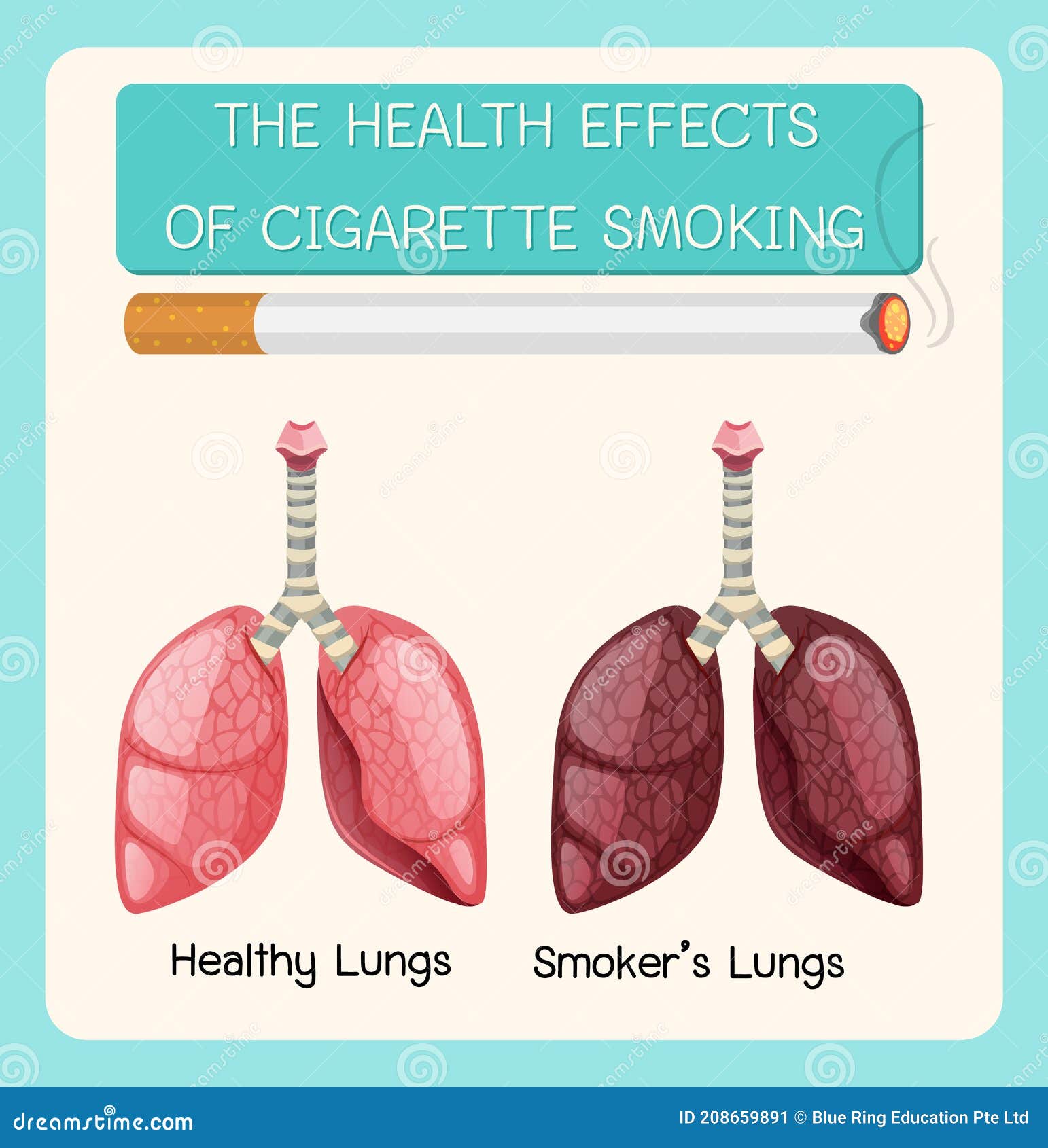 Afiche Sobre Los Efectos Del Tabaco En La Salud Ilustración del Vector ...