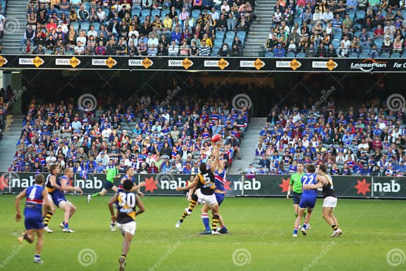 Afl football editorial stock photo. Image of audiance - 5184158