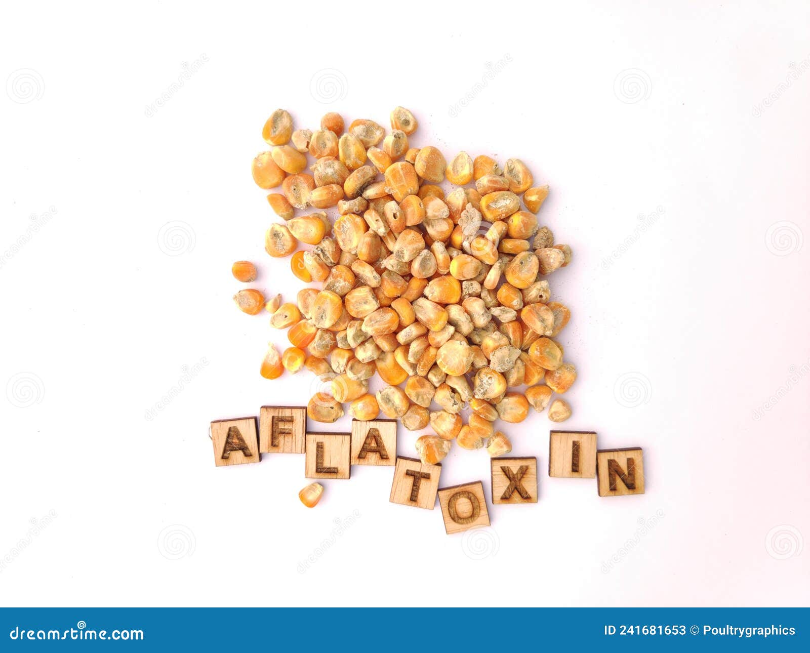 Aflatoxin B1 in Corn Picture, Poultry Feed Problem Stock Image - Image ...
