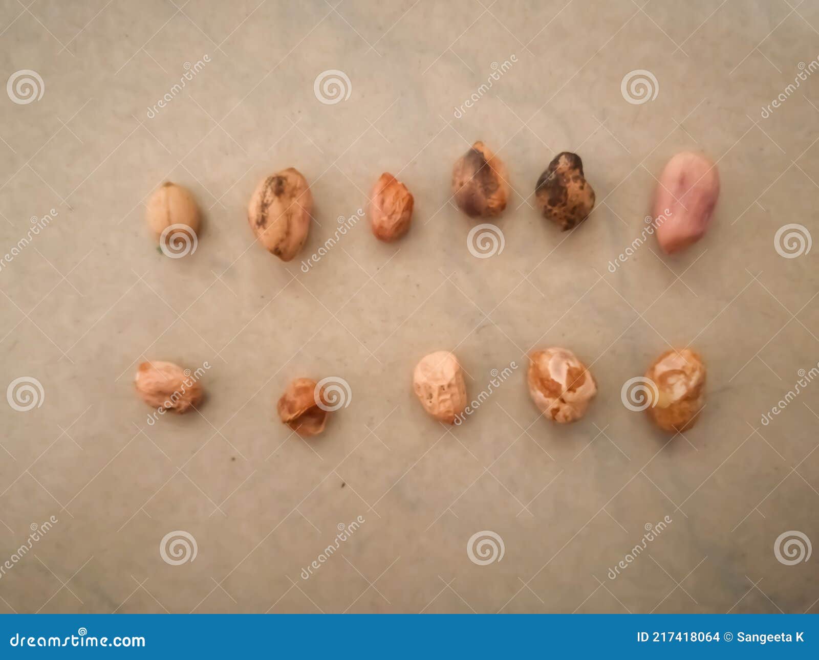 Aflatoxins Poisoning by Fungi in Groundnut Stock Photo - Image of ...