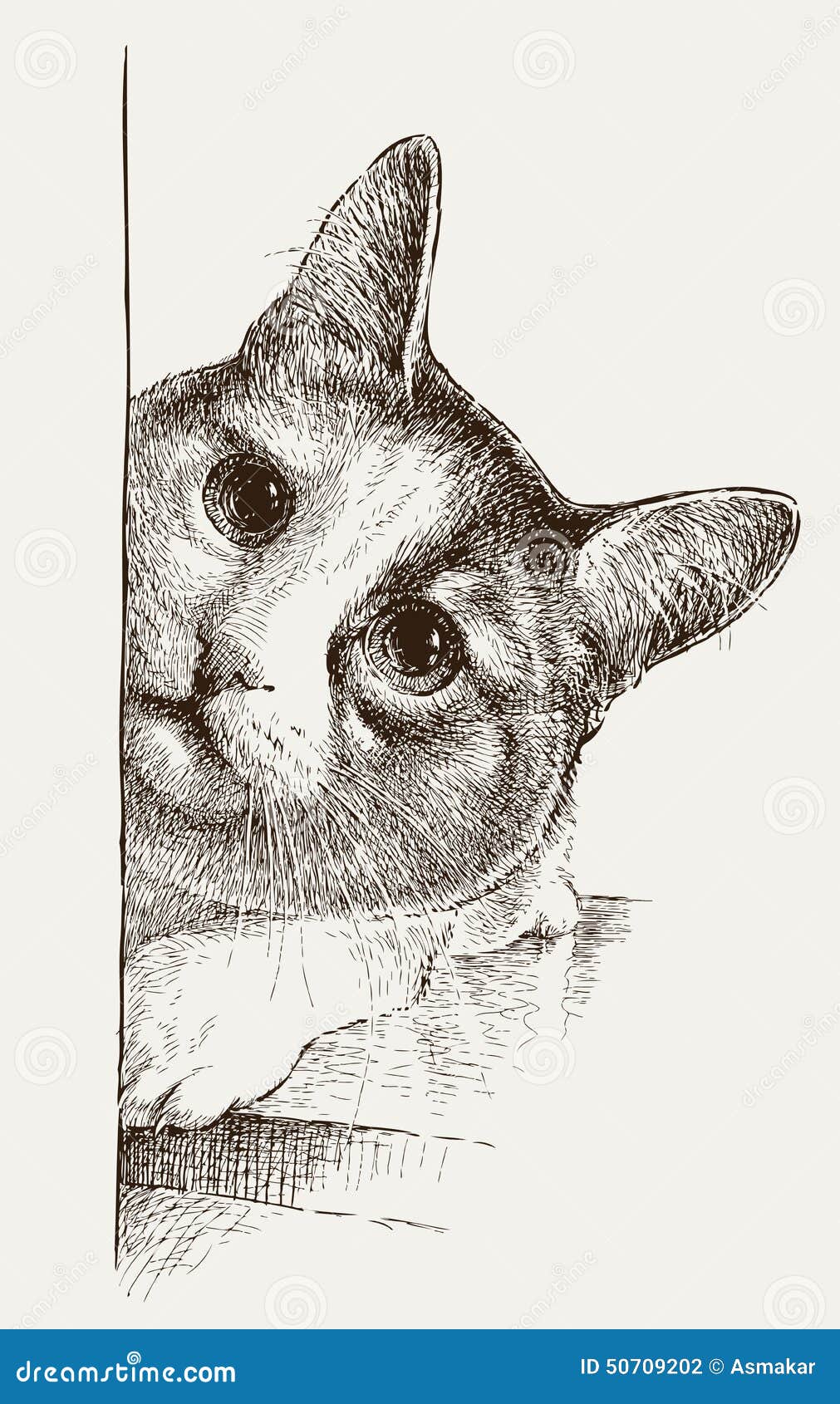 Afraid cat stock vector. Illustration of feline, cute - 50709202