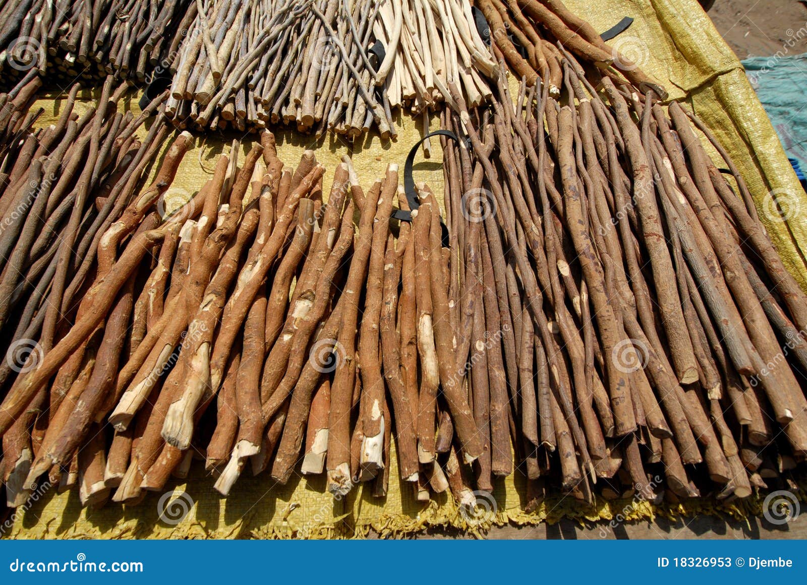 Africa stock image. Image of roots, wood, display, twigs - 18326953