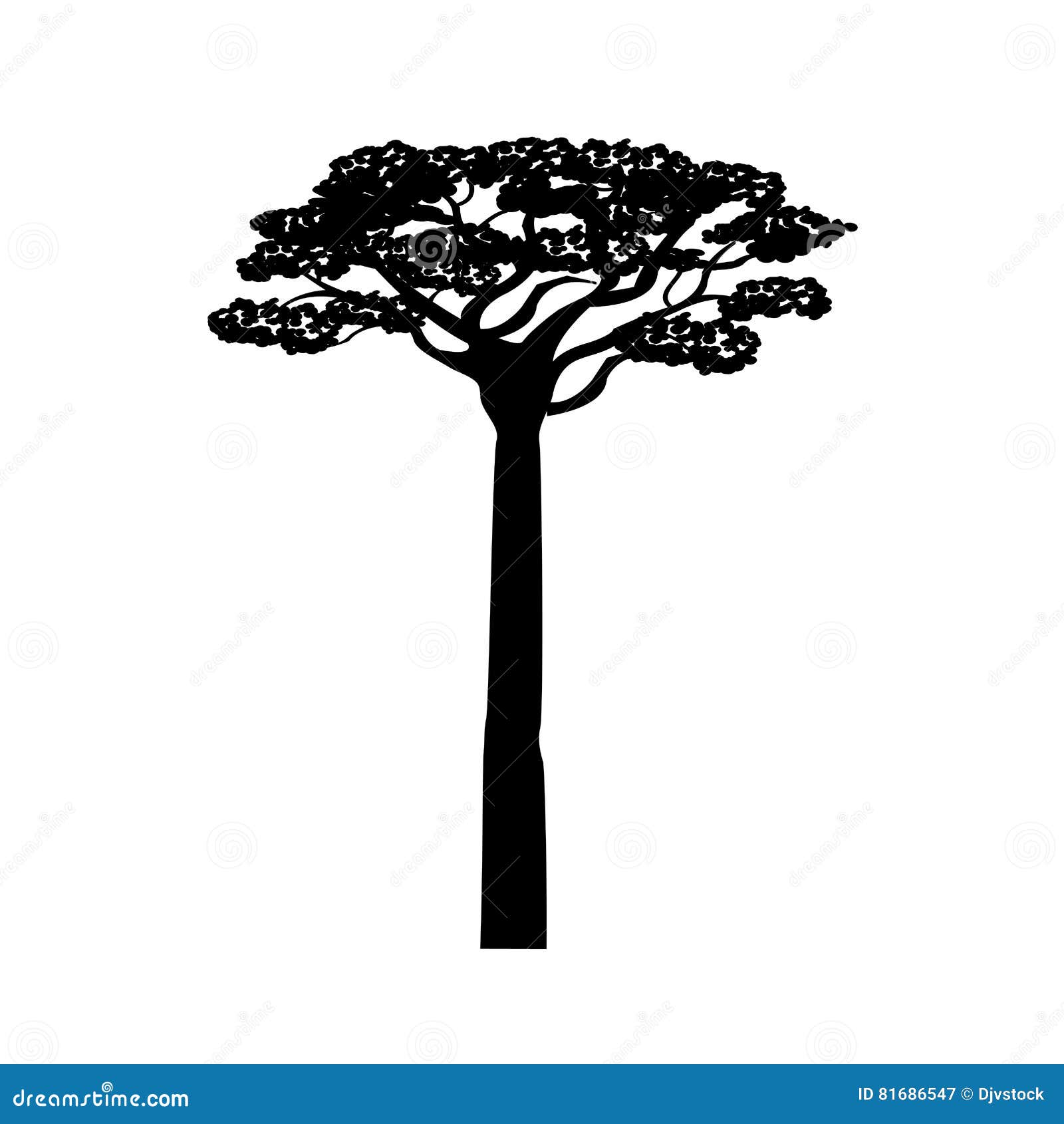 Africa acacia tree stock vector. Illustration of green - 81686547