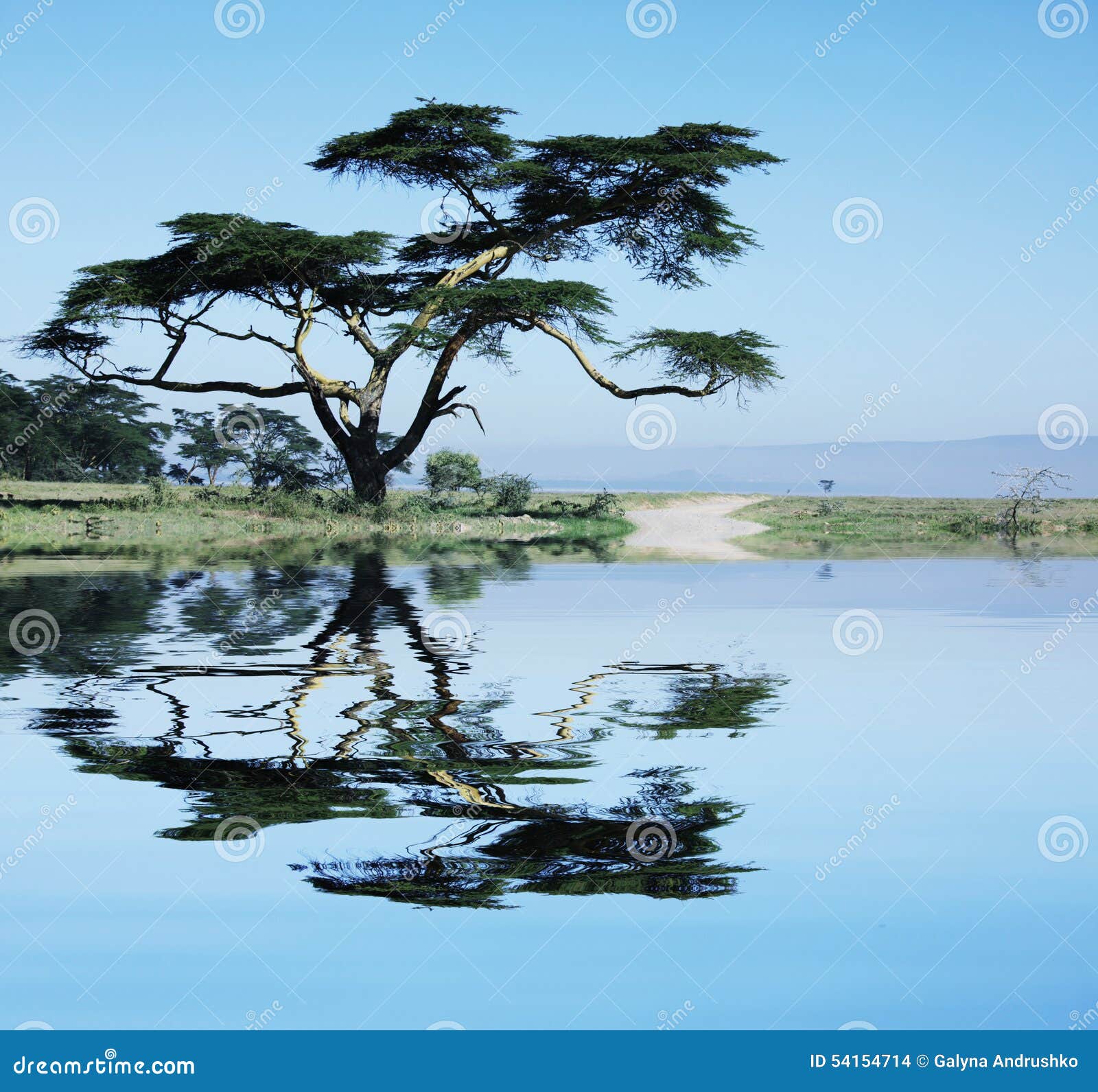 Africa stock photo. Image of country, nature, landscape - 54154714