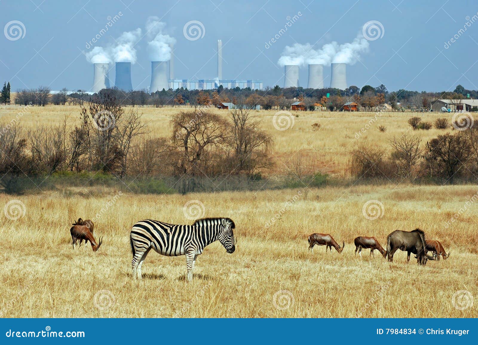 Africa development stock photo. Image of environmental - 7984834