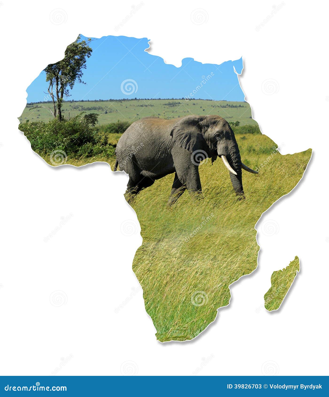 Africa Wildlife Map Design stock image. Image of nature - 39826703