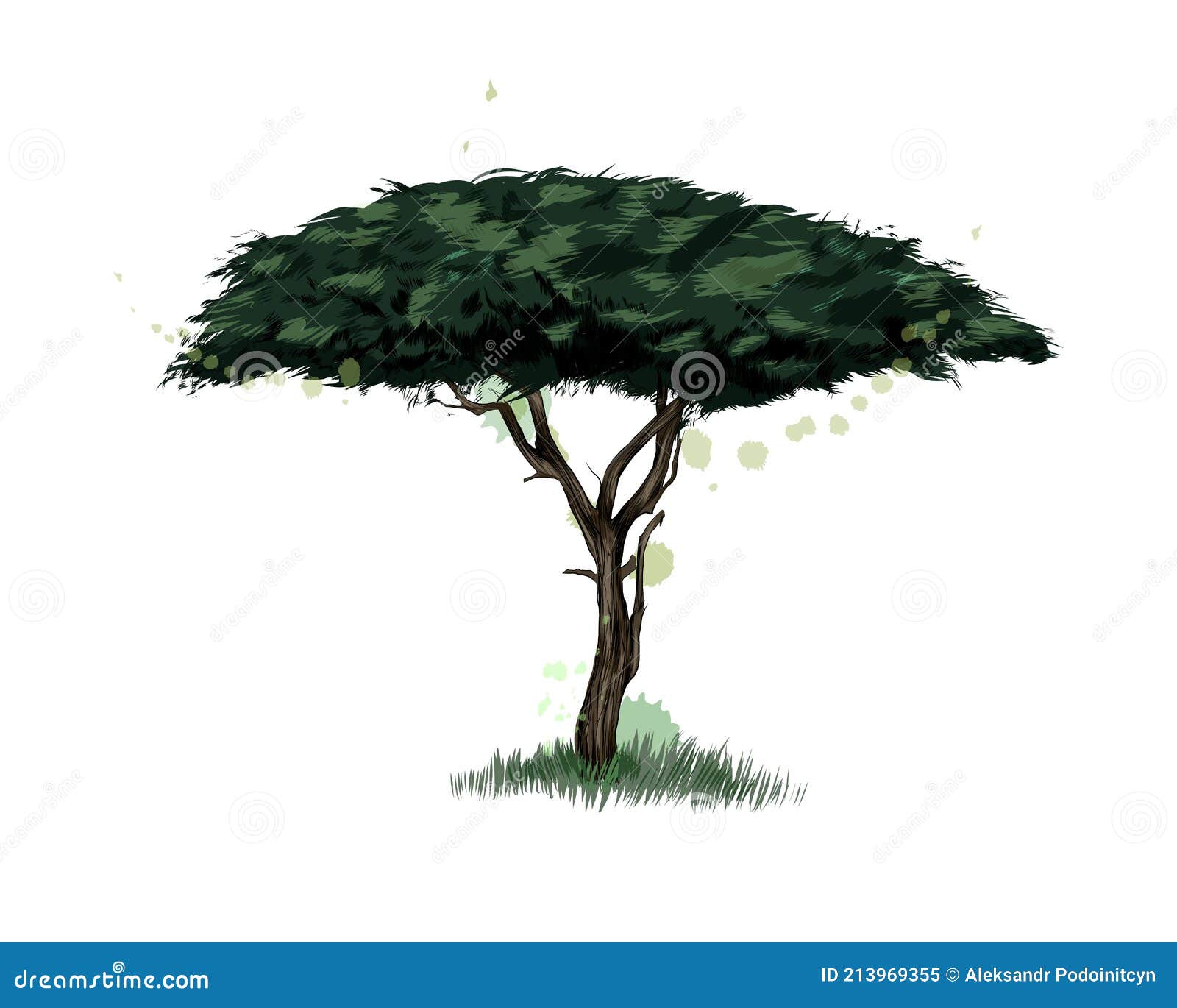 African Acacia Tree With Tiger Jaguar Leopard Cheetah Puma Panther ...