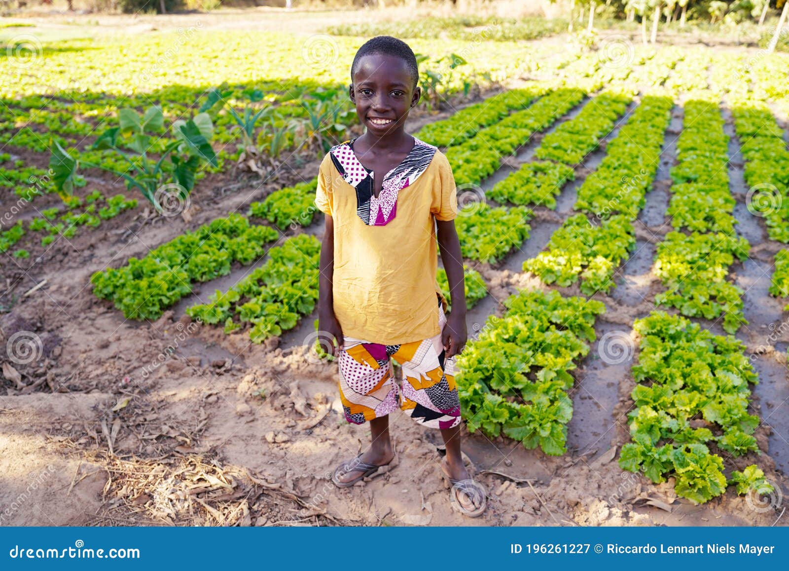 African Agriculture Royalty-Free Stock Photography | CartoonDealer.com ...