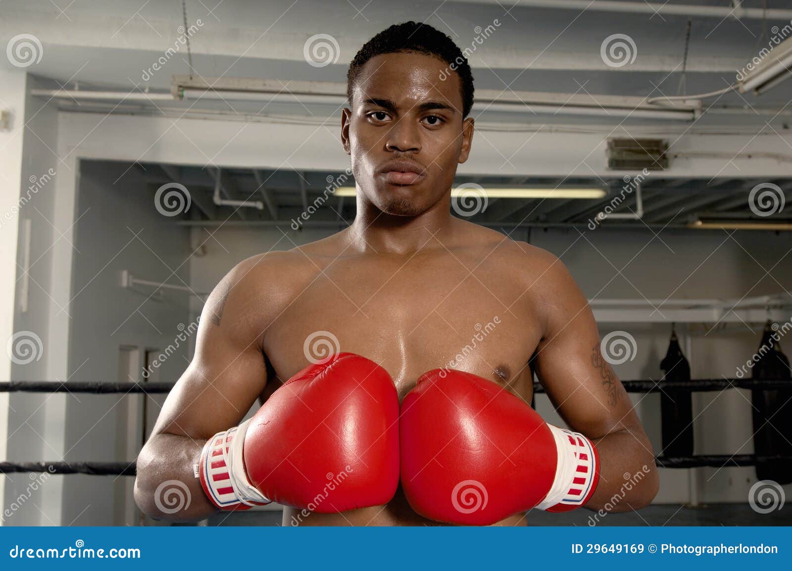 African American Boxer Ready for a Fight Stock Image - Image of boxer ...