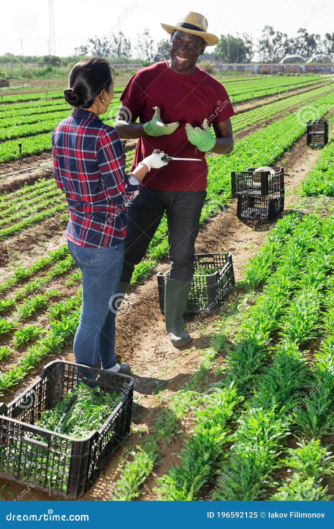 African American Farmer Friendly Talking To Hispanic Female Worker ... African American Farmer Friendly Talking To Hispanic Female Worker ...