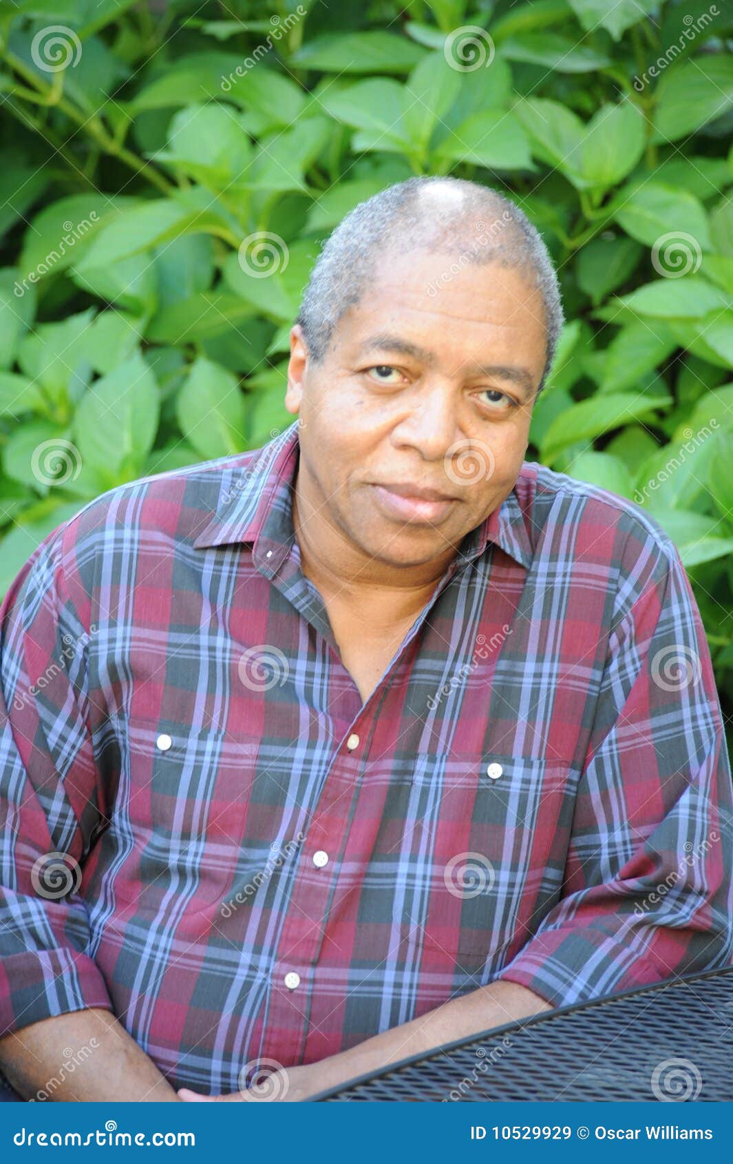 African american male stock image. Image of leisure, lifestyle - 10529929