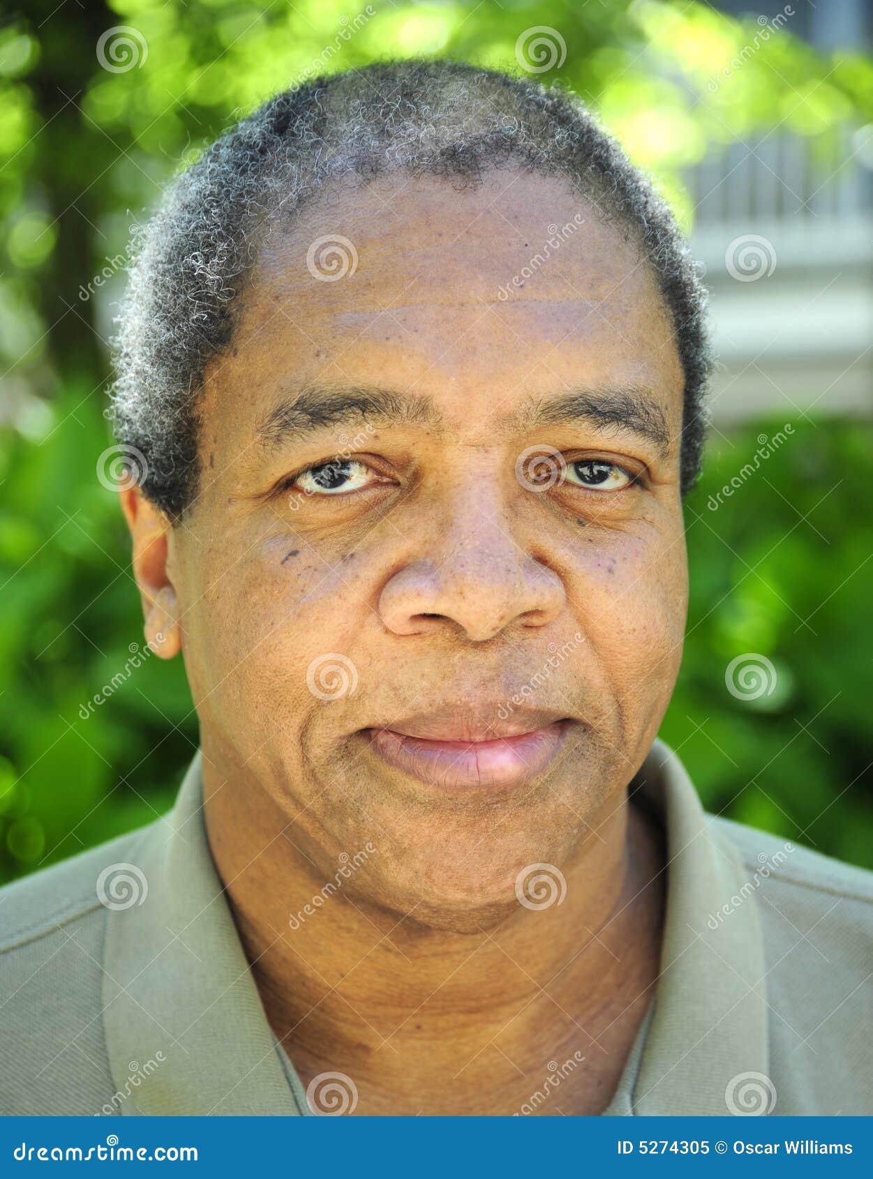African american male stock image. Image of people, model - 5274305