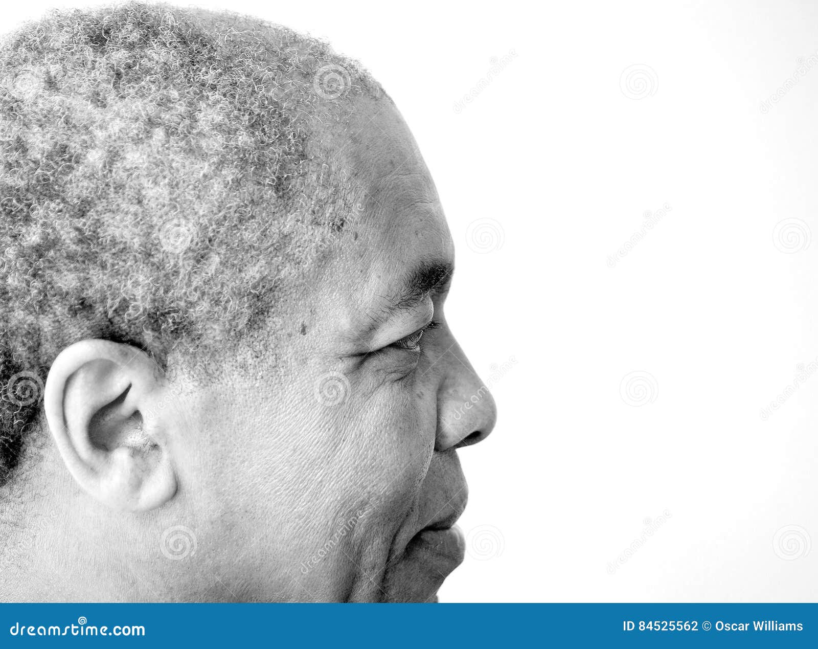 African American Male Profile. Stock Photo - Image of expressions ...