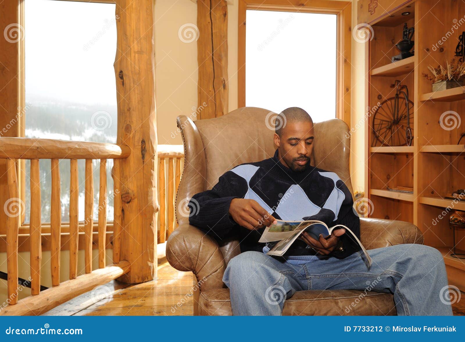 African American Male Reading Stock Photo - Image of house, indoor: 7733212