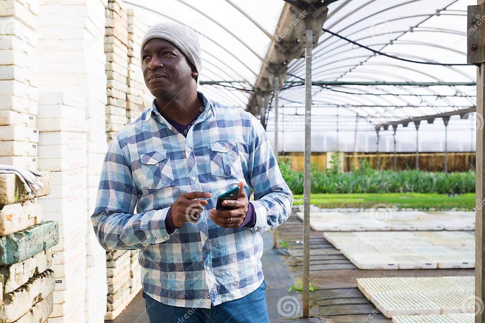 African American Man Counting the Number of Bricks Using Smartphone ...