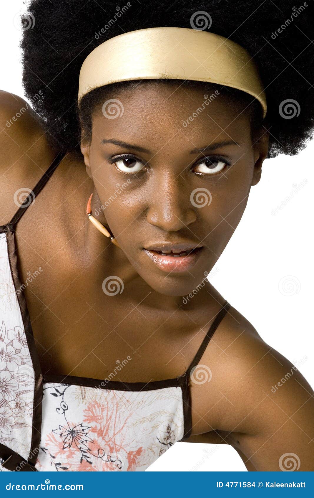 African American model stock photo. Image of american - 4771584