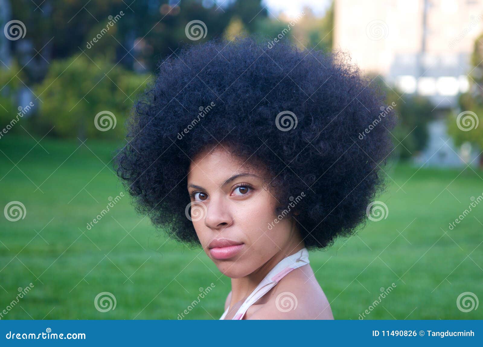 African American Model with Afro Look Stock Photo - Image of style ...