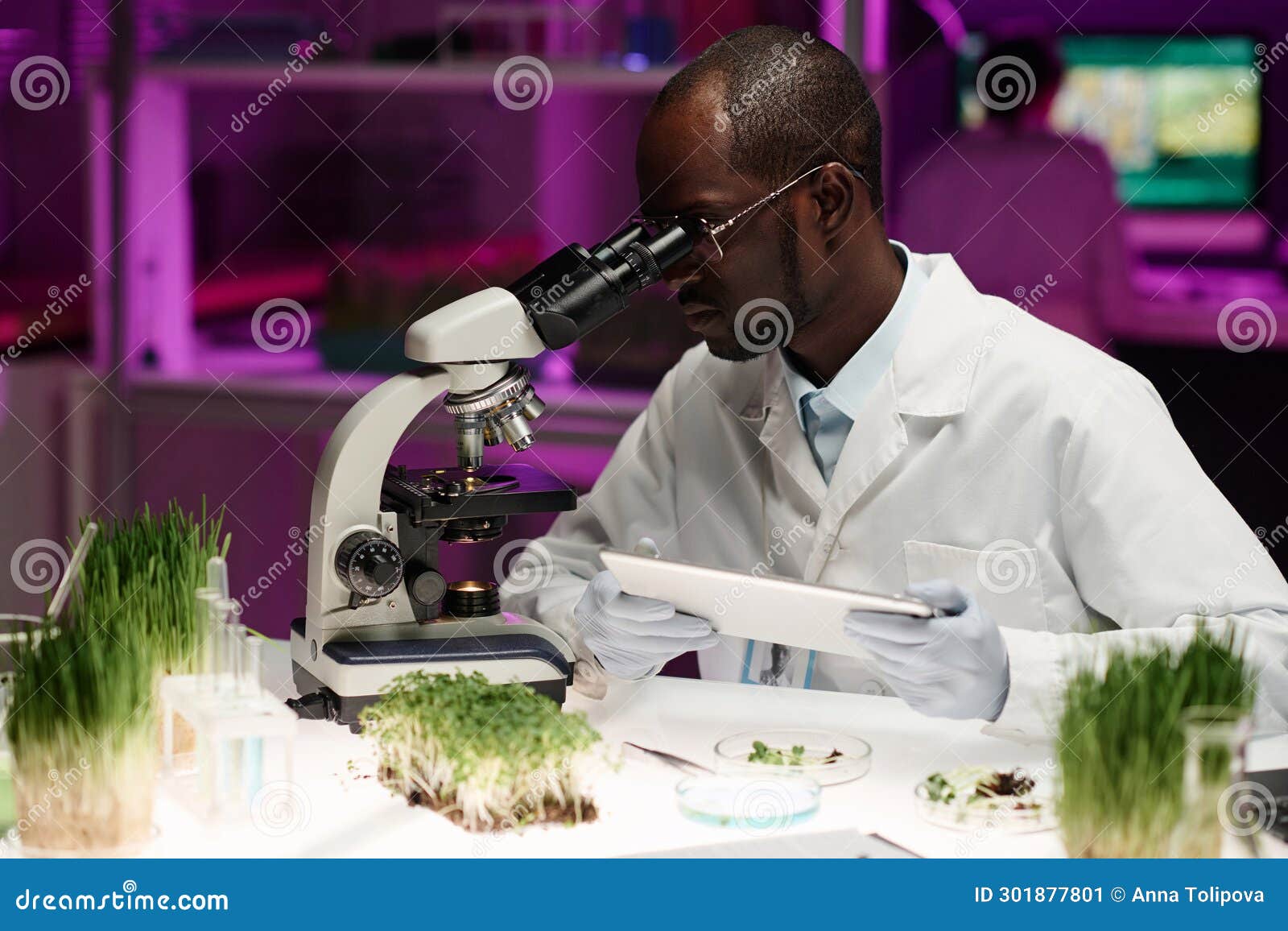 Biologist Using Modern Professional Technology in His Research Stock ...