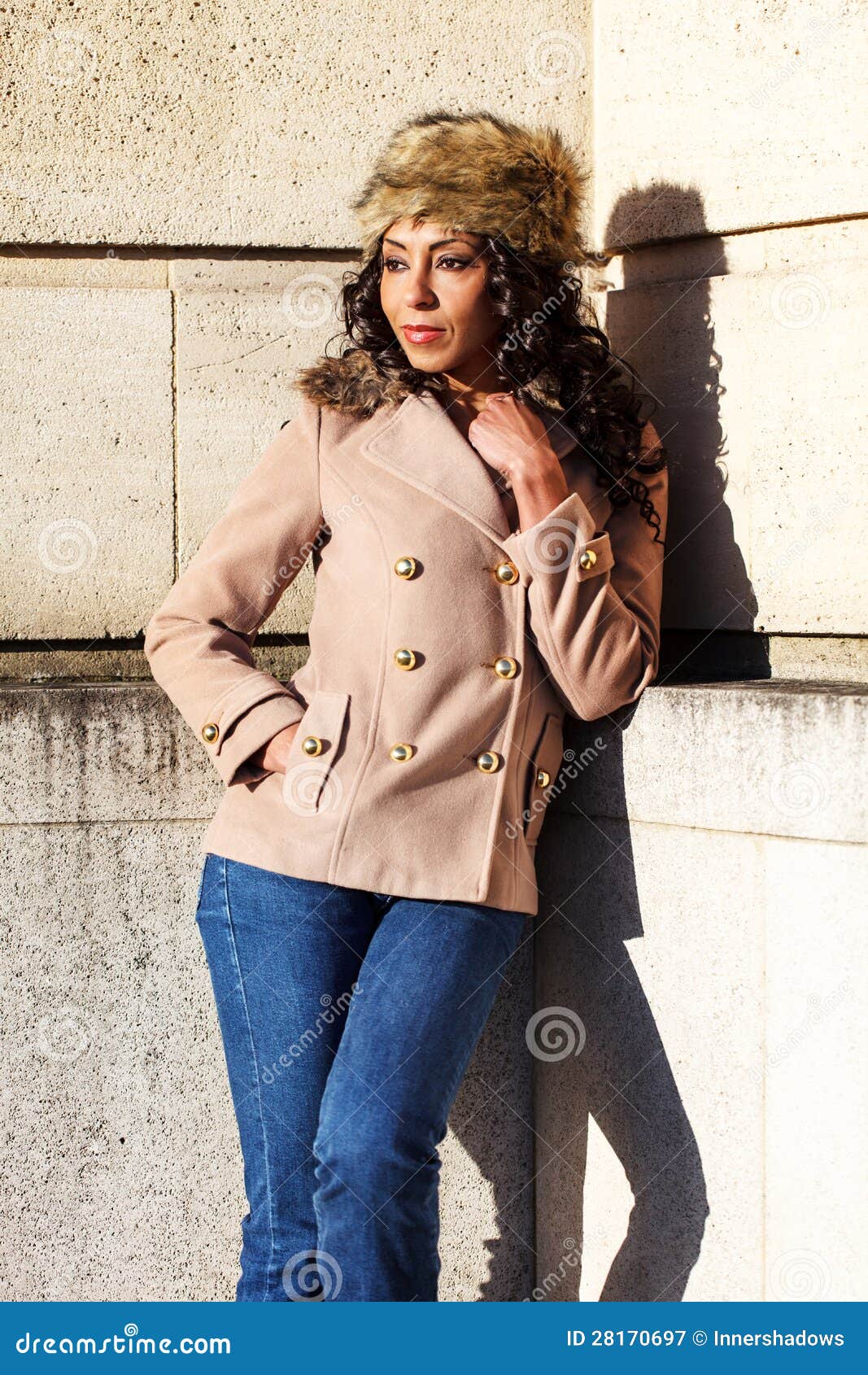 African American Woman stock image. Image of attractive - 28170697