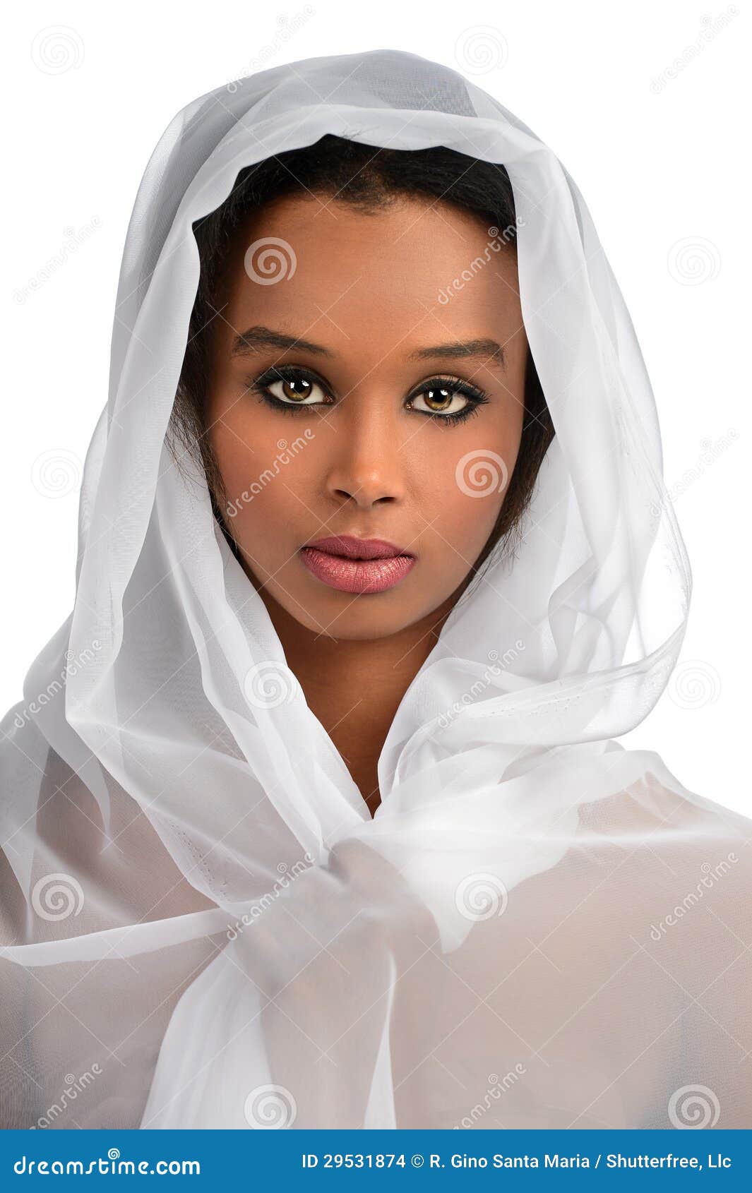 African American Woman with Veil Stock Photo - Image of face, pretty ...
