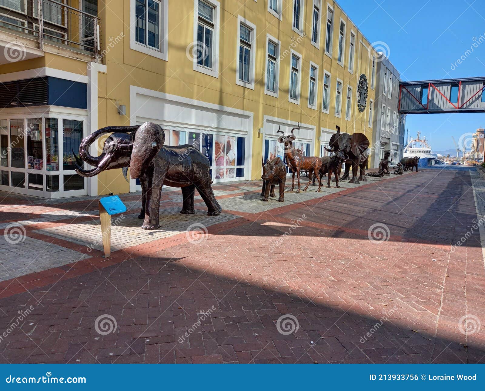 African Animals on Parade stock photo. Image of town - 213933756