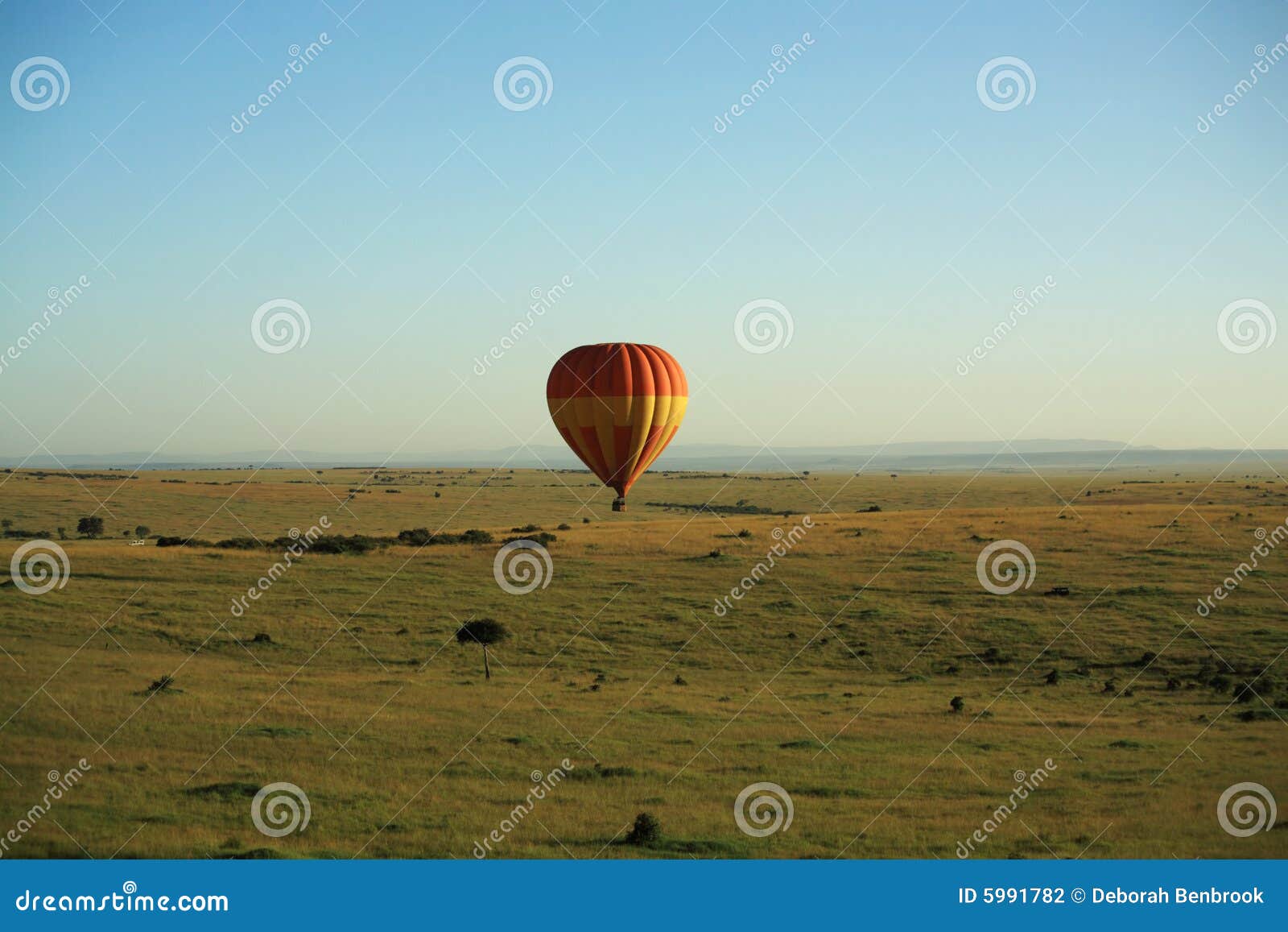 African balloon safari stock photo. Image of travel, bush - 5991782
