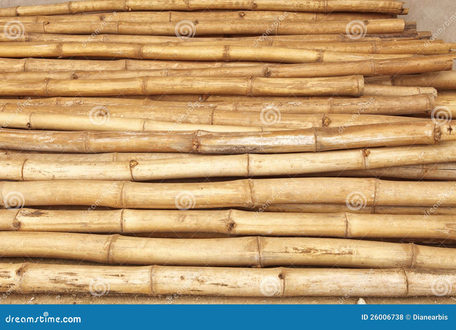 African Bamboo stock photo. Image of tree, ghana, background - 26006738