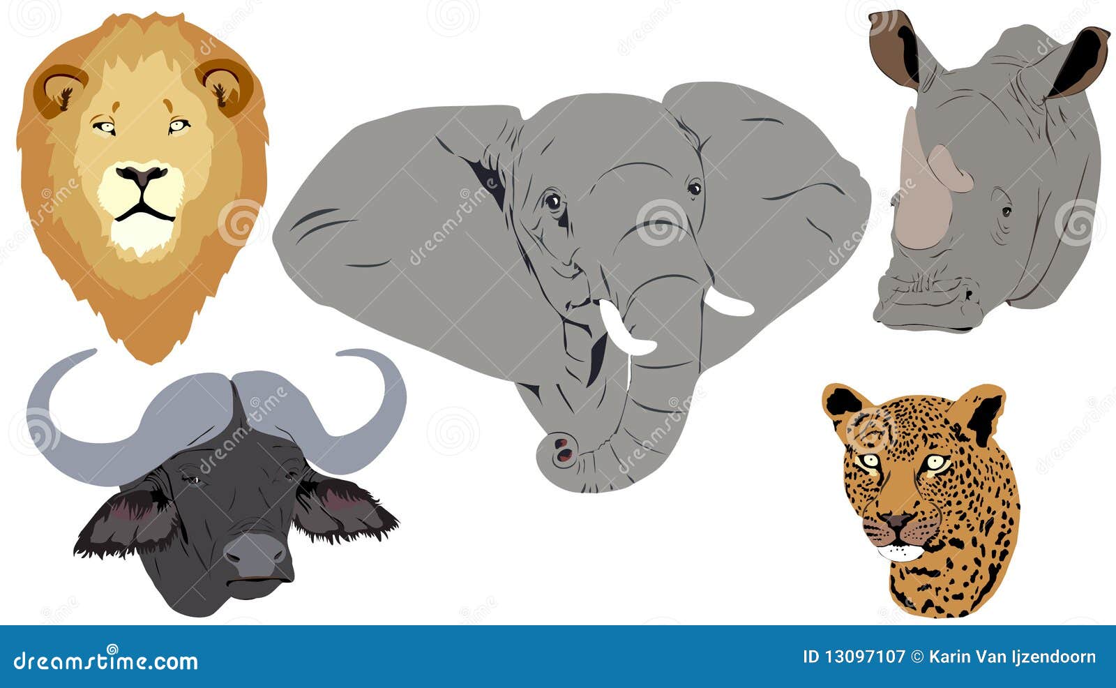 African Big Five Heads Stock Image | CartoonDealer.com #13097107
