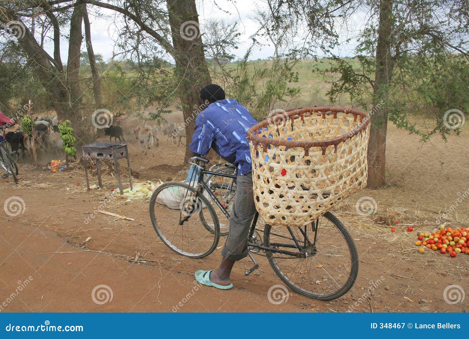 African bike stock image. Image of road, large, tanzania - 348467