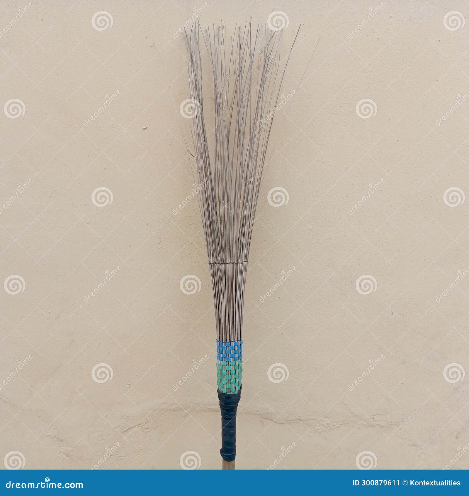 African Broom Spider Web Remover Stock Image - Image of spider, african ...