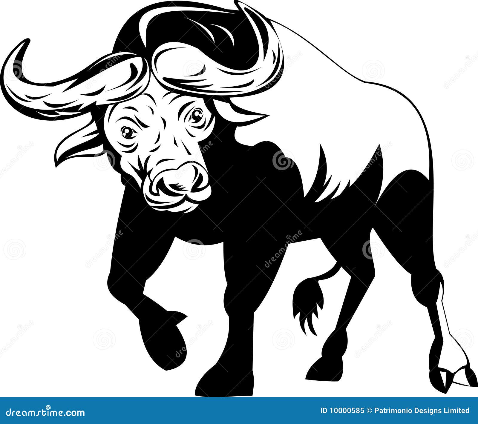 African Buffalo Head Drawing Cartoon Vector | CartoonDealer.com #76458491