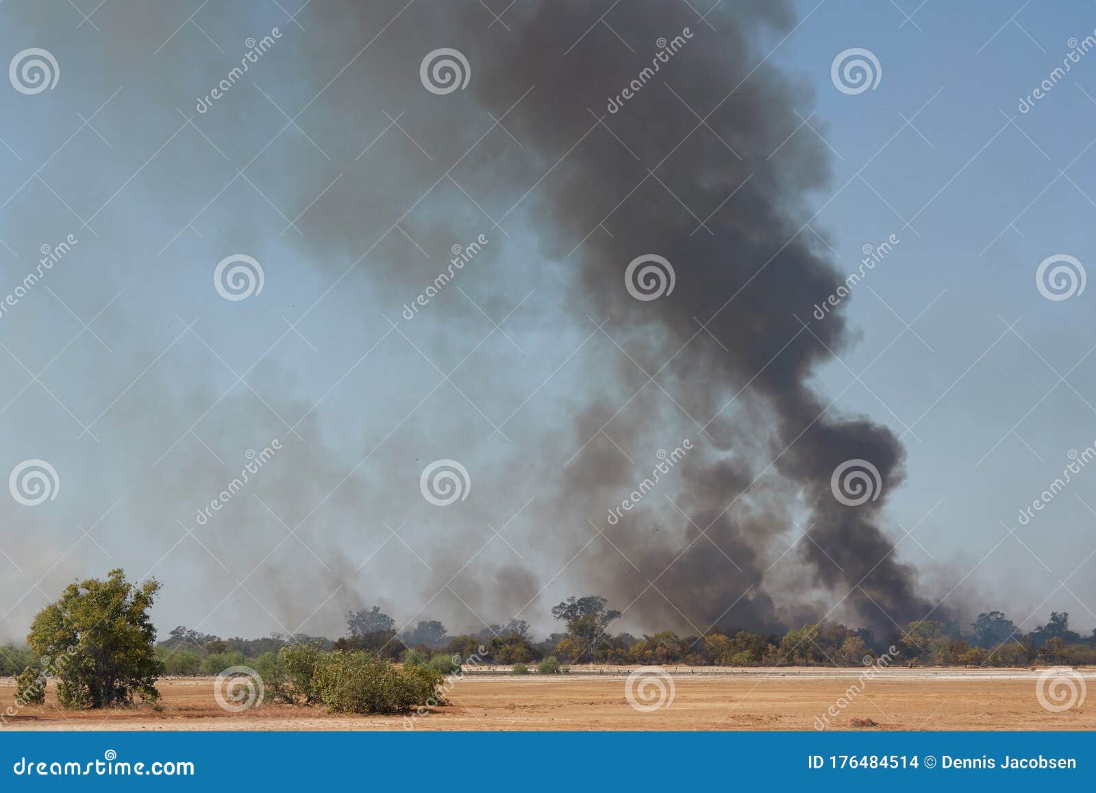 African bush fire stock photo. Image of dangerous, nature - 176484514