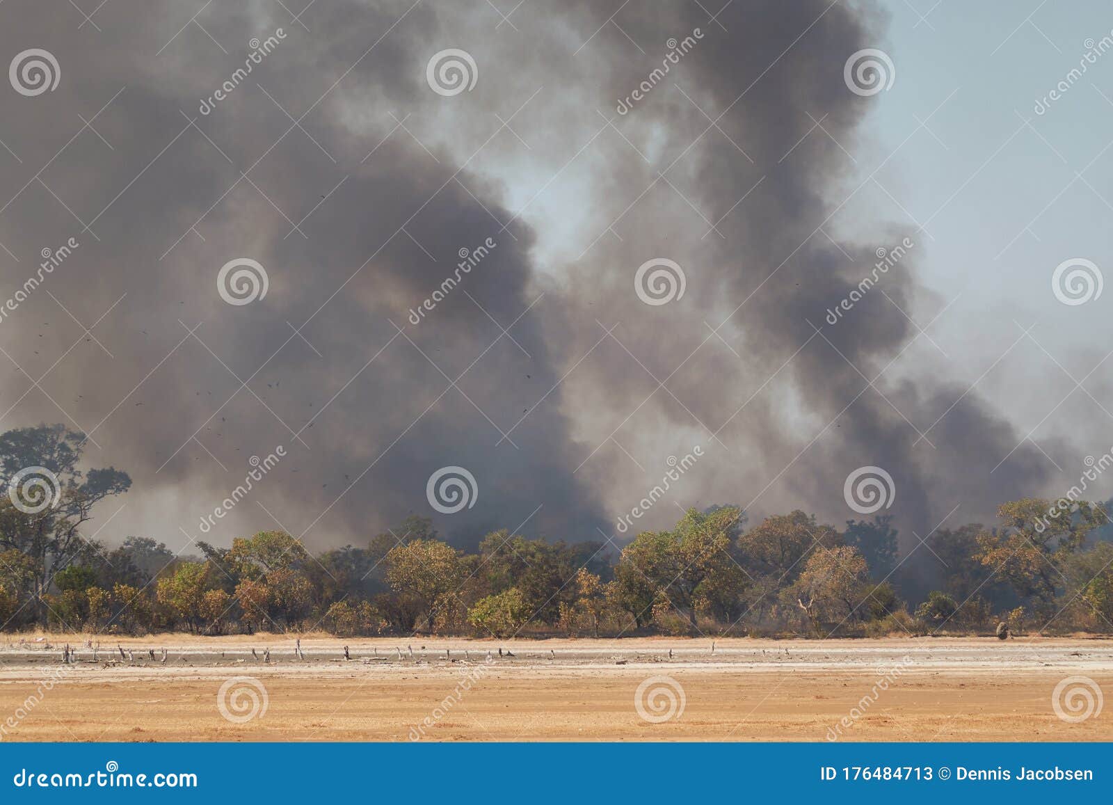 African bush fire stock image. Image of dangerous, nature - 176484713