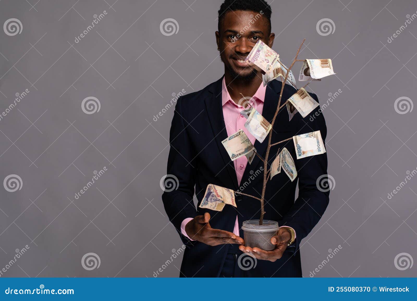 Business Man Holding a Money Tree Stock Photo - Image of manage, naira ...