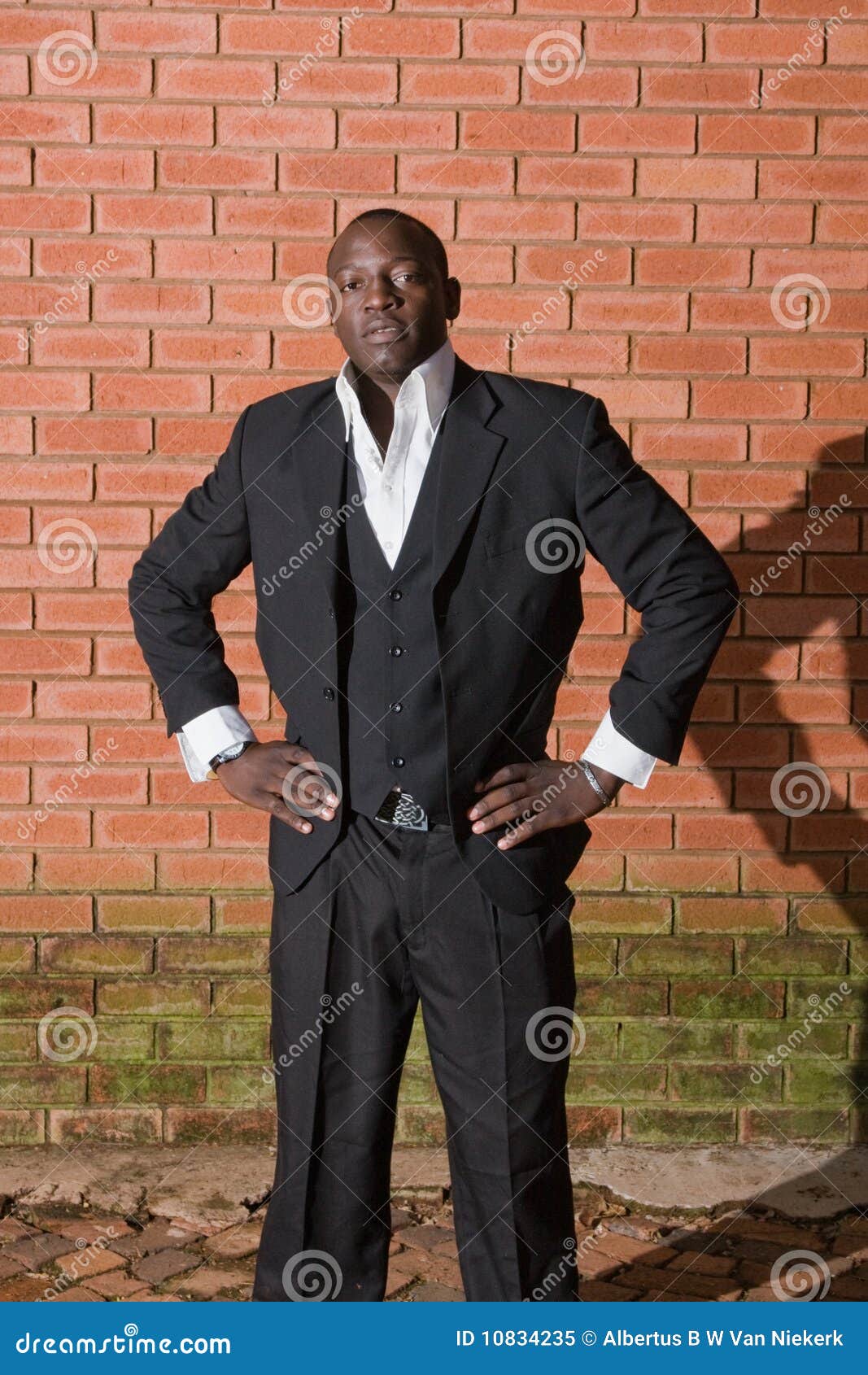 African businessman stock image. Image of manager, face - 10834235