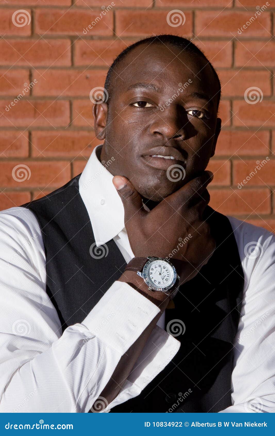 African businessman stock photo. Image of business, person - 10834922
