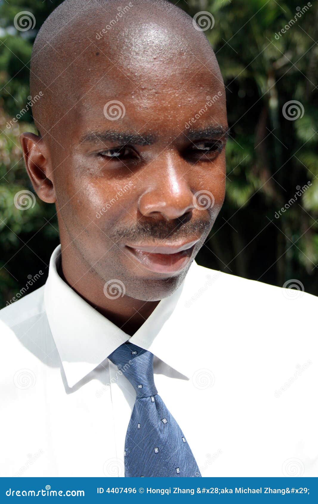 African businessman stock photo. Image of cooperation - 4407496