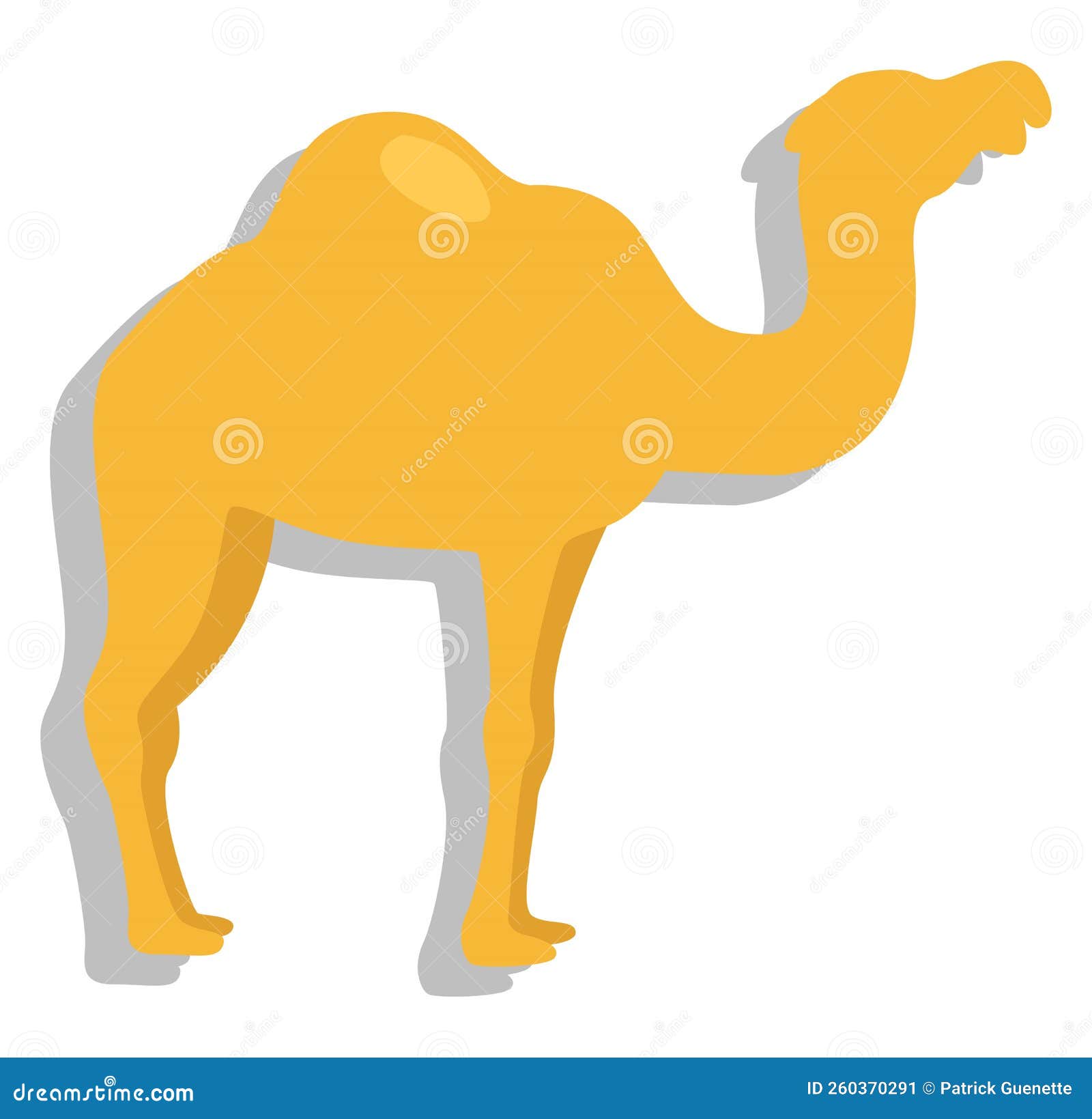 African Camel, Coloring Page Cartoon Vector | CartoonDealer.com #362909249