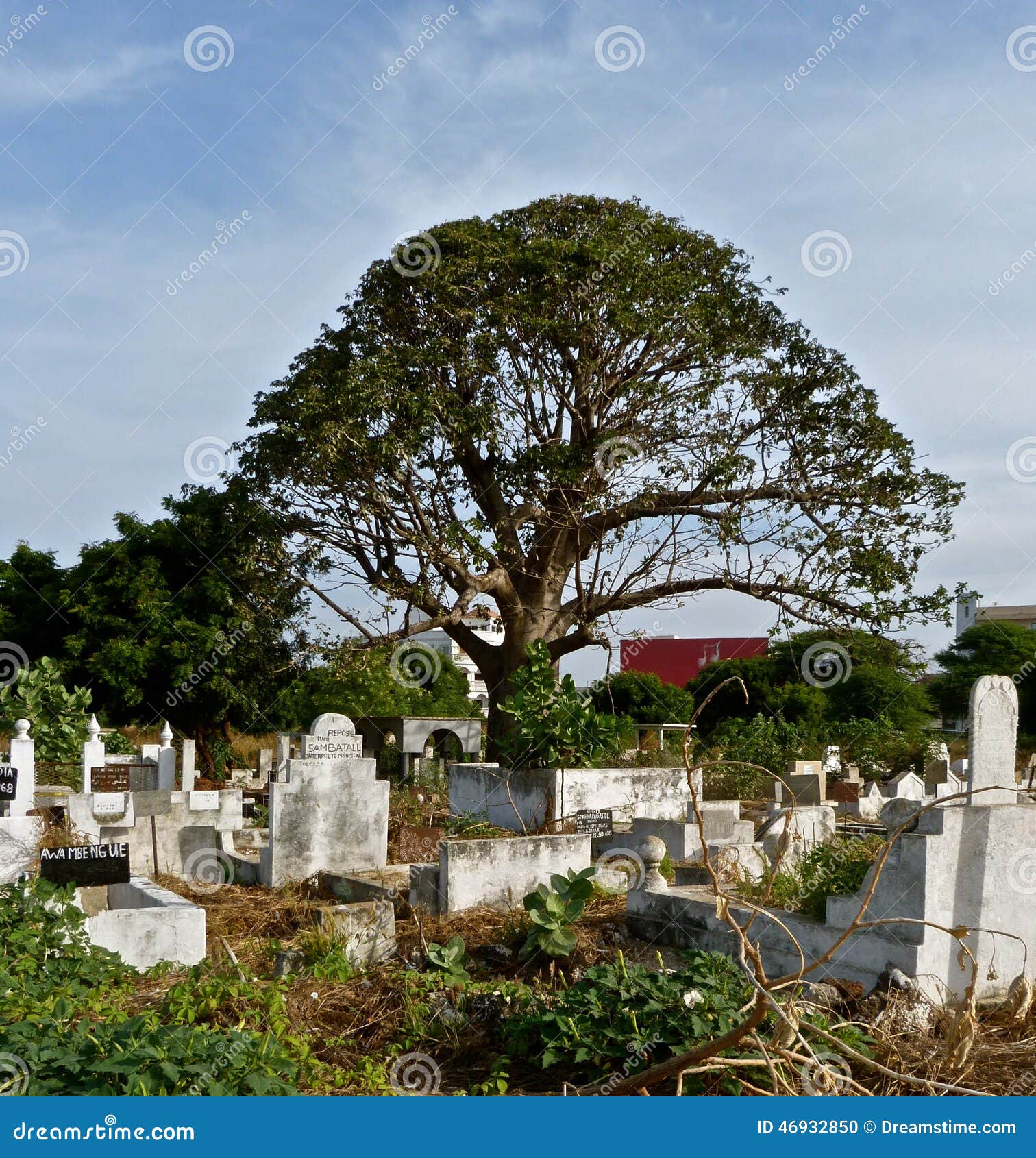 African Cemetary with Big Tree Editorial Image - Image of tree, yard ...